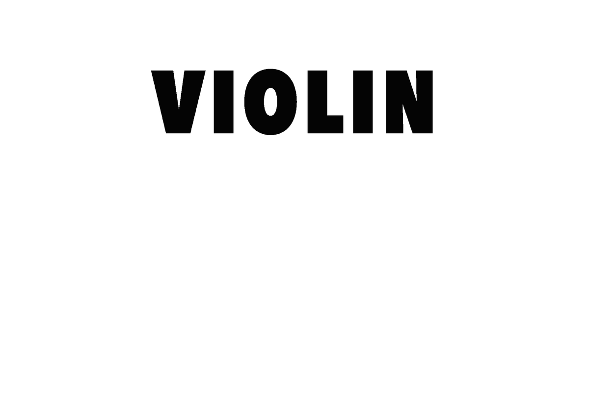 Apollo Junior High School - Violin Accessories | Richardson ISD ...